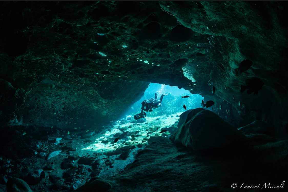 Florida Panhandle Springs – Chipola Divers
